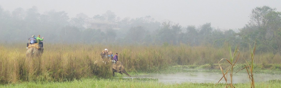 Family Rafting & Jungle Safari Adventure - Paddle Nepal